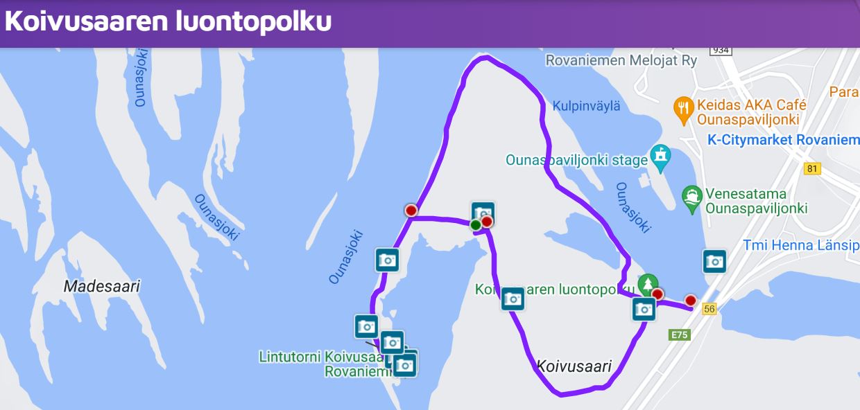 THE BEST HIKES IN ROVANIEMI - Arctic Attitude