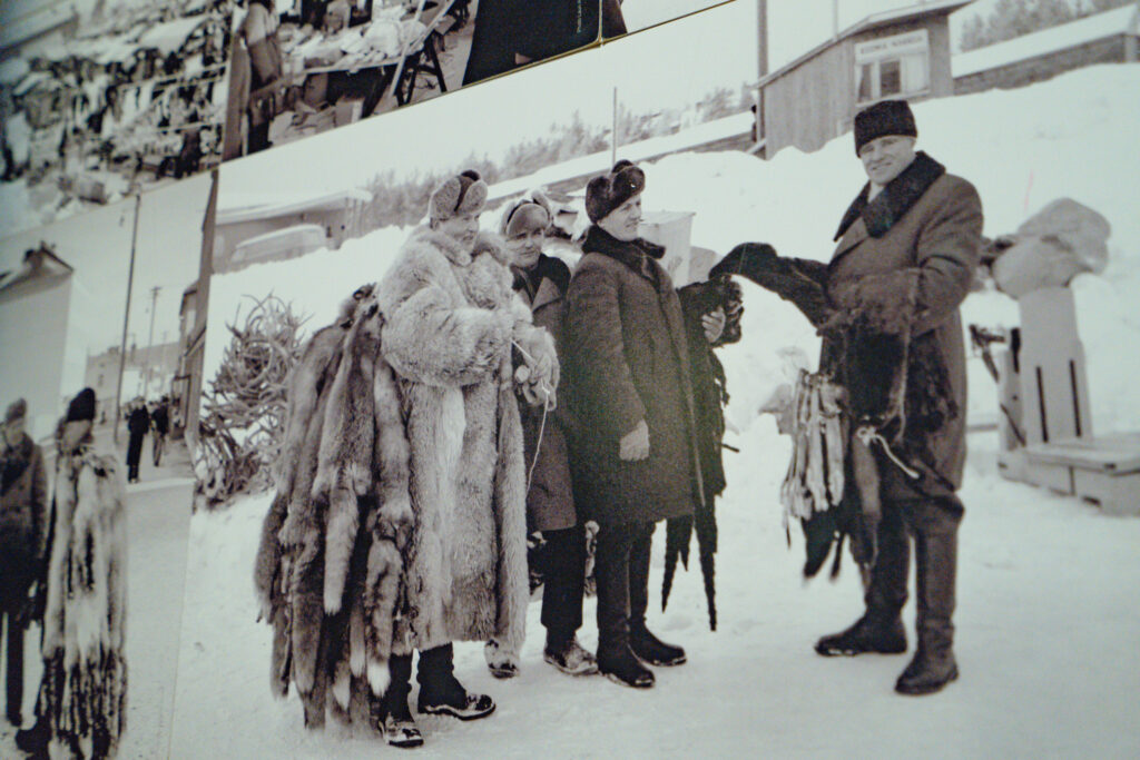 THE ARKTIKUM, to learn more about the Arctic